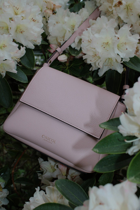 C.Nicol | Scotland – C.Nicol | Scotland